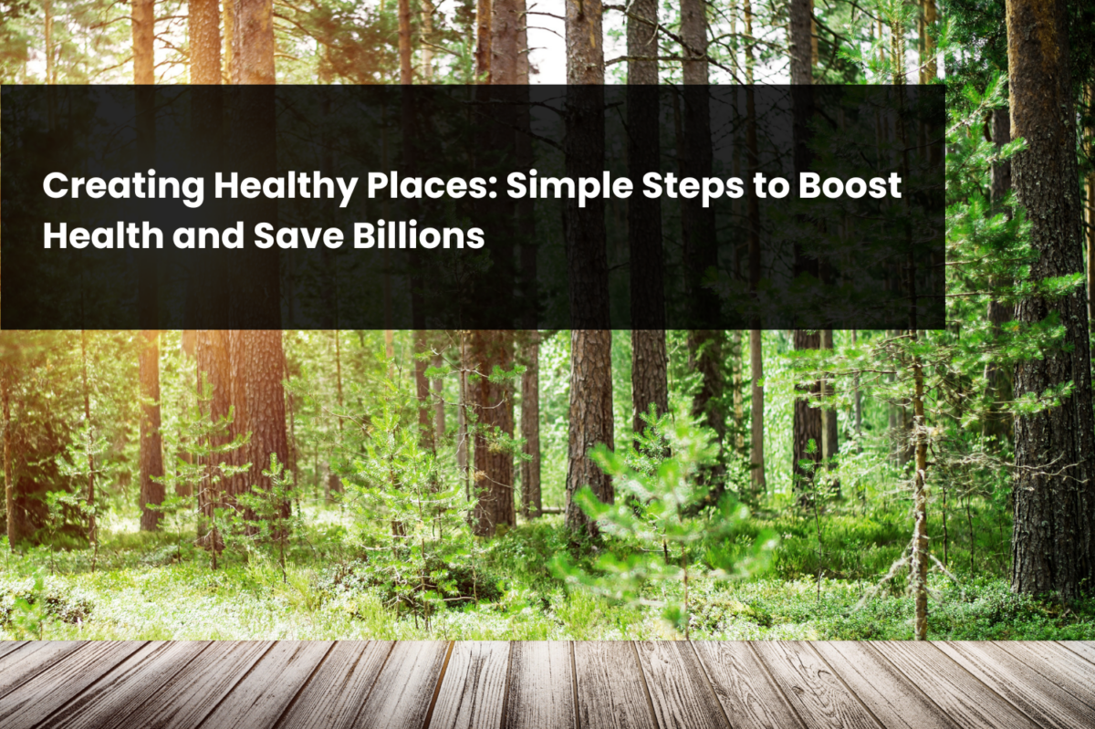 Creating Healthy Places: Simple Steps to Boost Health and Save Billions ...